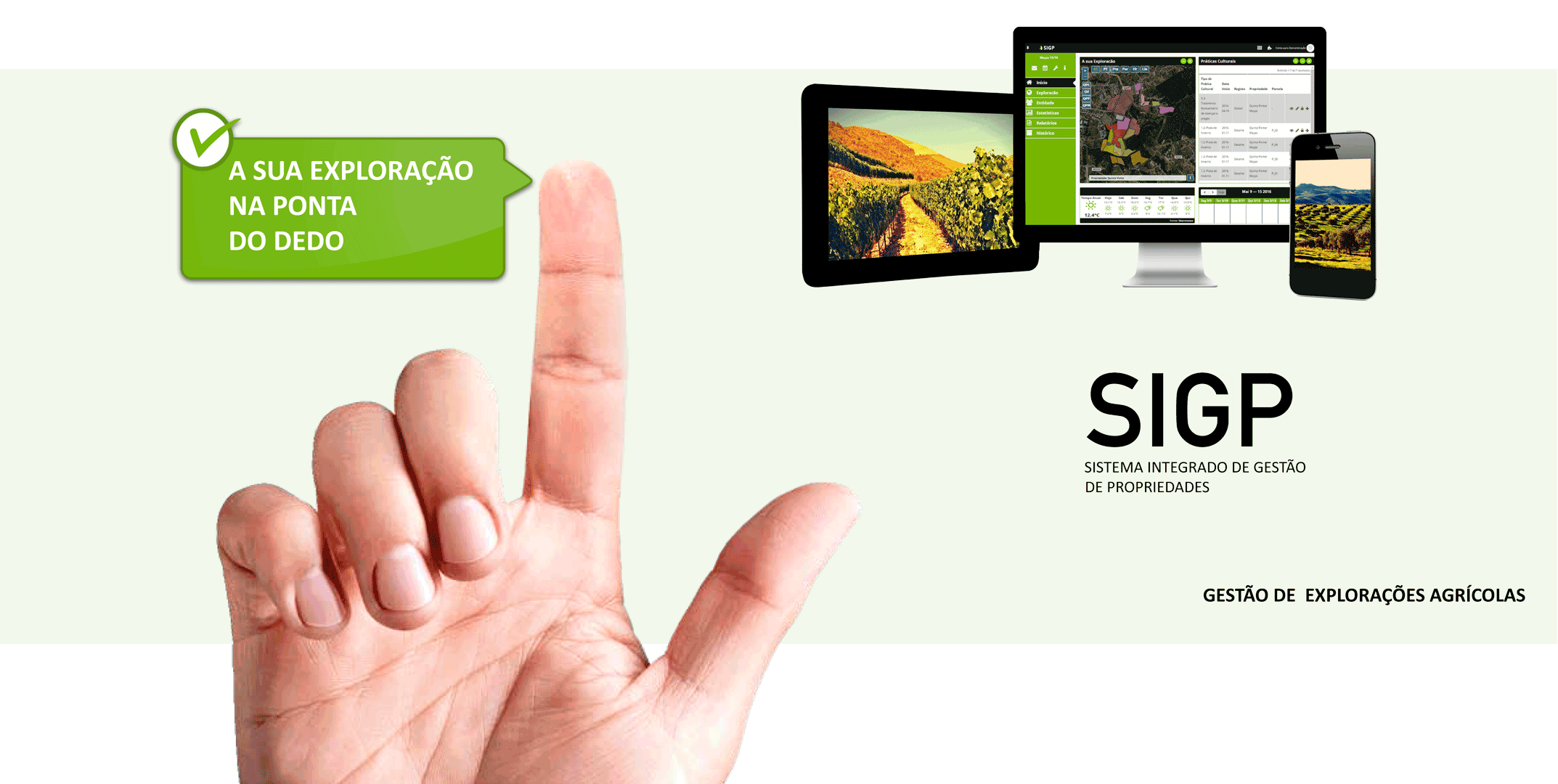 SIGP - Sistema Integrado de Gestão de Propriedades